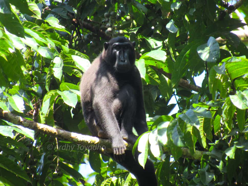 Nature and Adventure Trip - Saronde Island